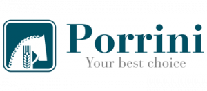 Il cavallo arabo: morfologia e carattere - Porrini Franco S.p.A.