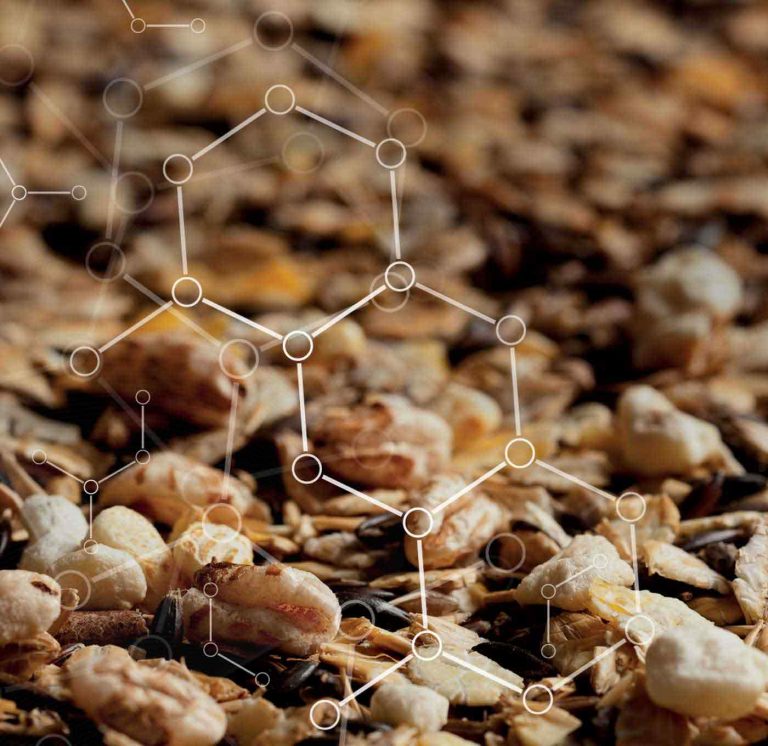 Mangimi per Cavalli da Monta Western o Monta Americana